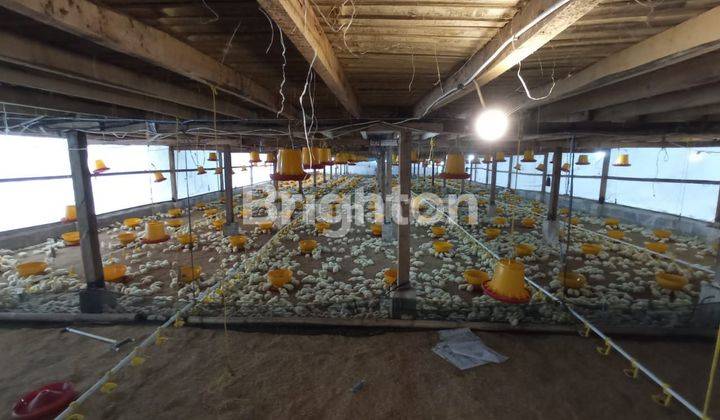 Jual Ruang Usaha di Kiarapedes, Purwakarta | Daftar Terbaru 2023 Jual Ruang Usaha di Kiarapedes, Purwakarta | Daftar Terbaru 2023
