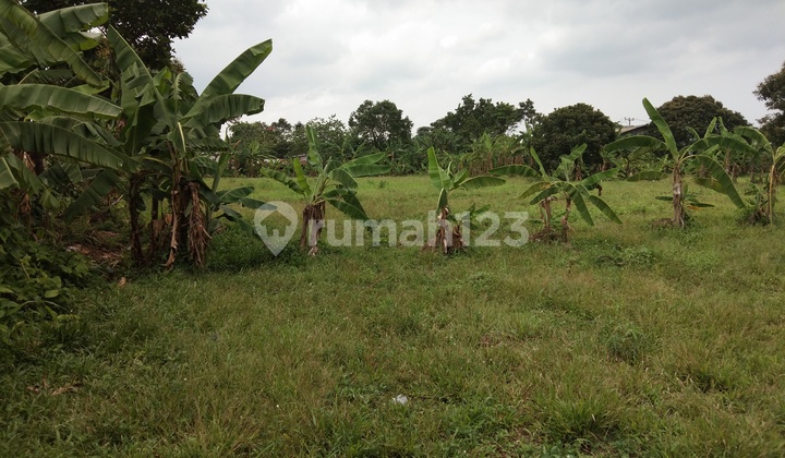 Jual Tanah di Kedung Halang, Bogor | Harga per Meter Terbaru