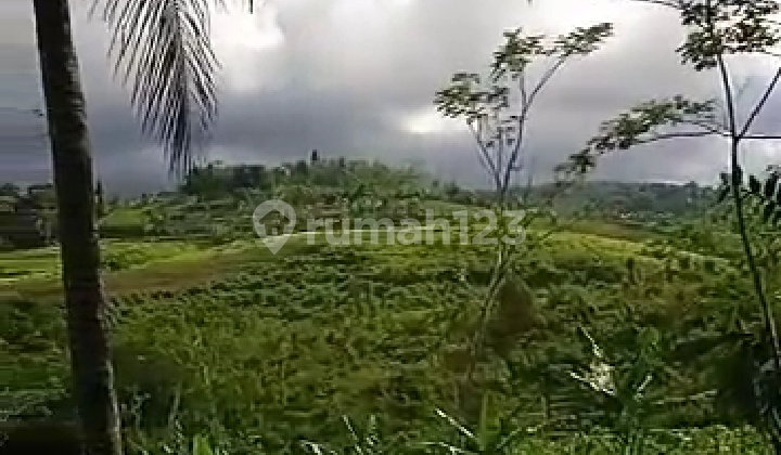 Jual Tanah di Parung Kuda, Sukabumi | Harga per Meter Terbaru