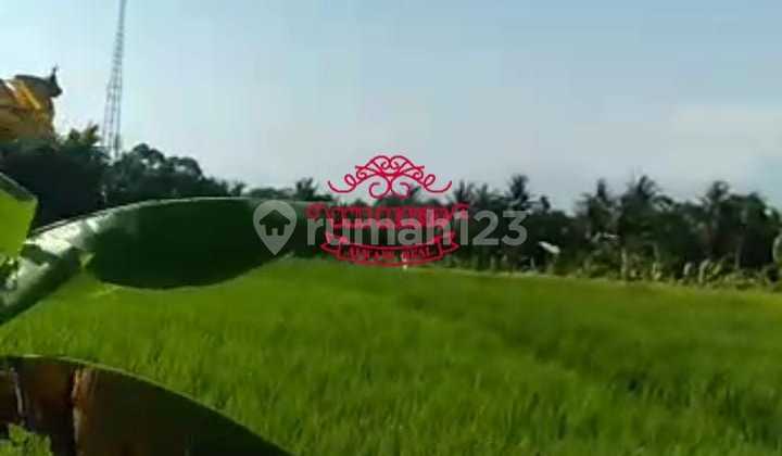 Jual Tanah di Buwit, Tabanan | Harga per Meter Terbaru