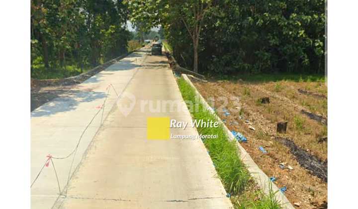 Jual Tanah di Way Khilau, Pesawaran | Harga per Meter Terbaru